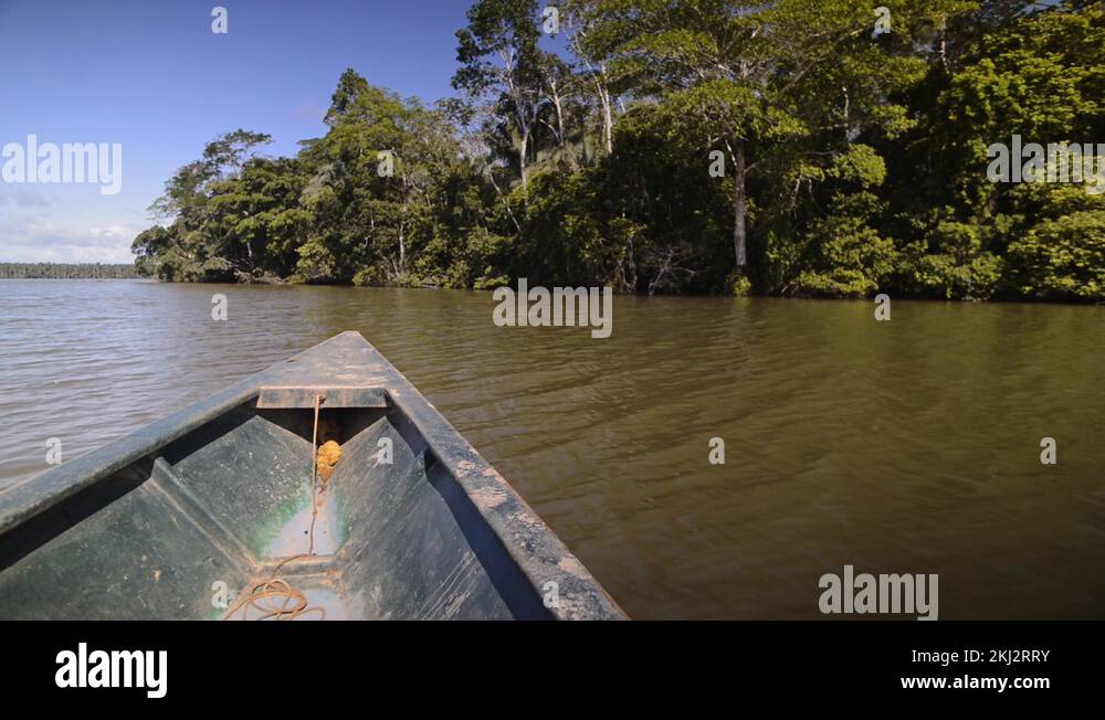 Amazon rainforest a peru Stock Videos & Footage - HD and 4K Video Clips ...