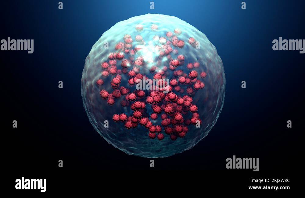 Viral replication Stock Videos & Footage - HD and 4K Video Clips - Alamy