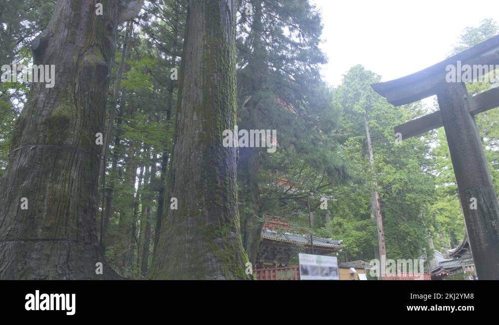 The famous gate at nikko toshogu Stock Videos & Footage - HD and 4K ...