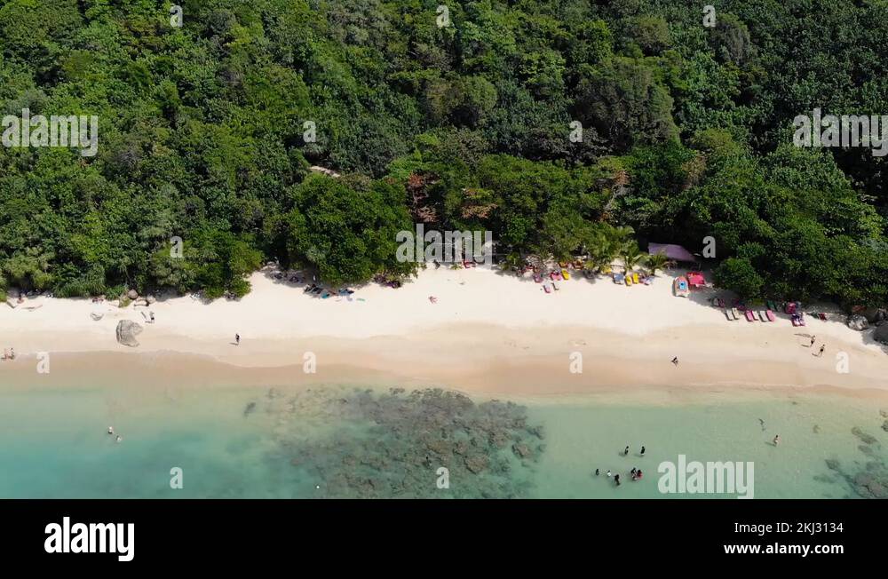 Tropical jungle beach Stock Videos & Footage - HD and 4K Video Clips ...