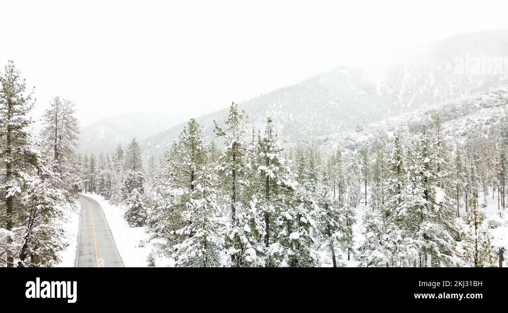 White out snow Stock Videos & Footage - HD and 4K Video Clips - Alamy