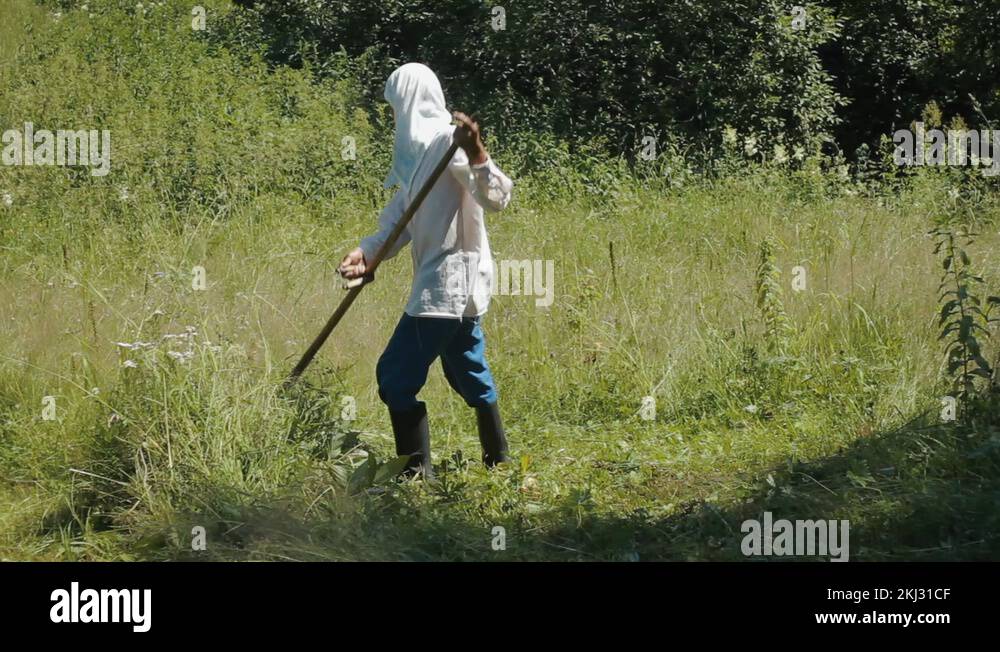 White resident Stock Videos & Footage - HD and 4K Video Clips - Alamy