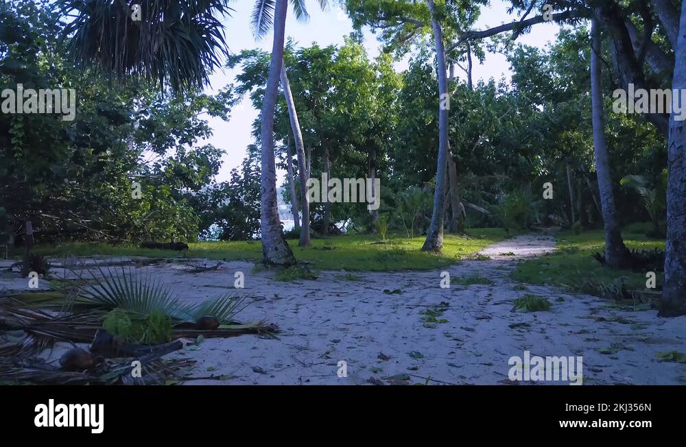 Cyclone path Stock Videos & Footage - HD and 4K Video Clips - Alamy