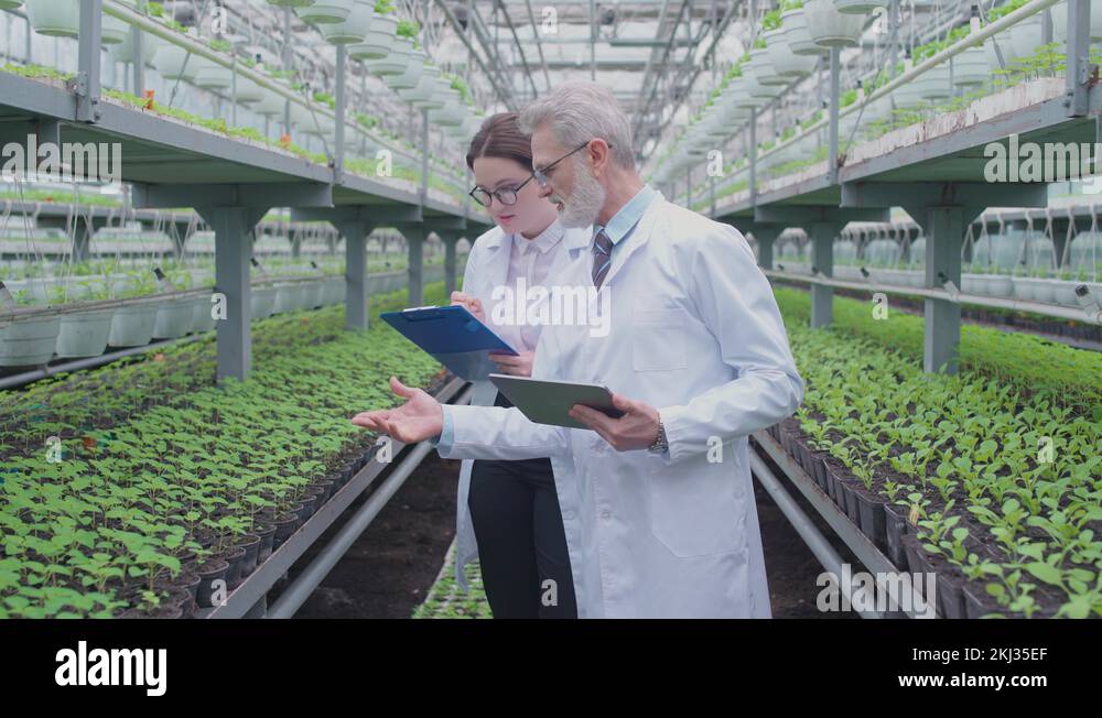 Breeding flower Stock Videos & Footage - HD and 4K Video Clips - Alamy