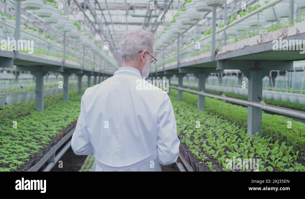 Horticultural engineering Stock Videos & Footage - HD and 4K Video ...