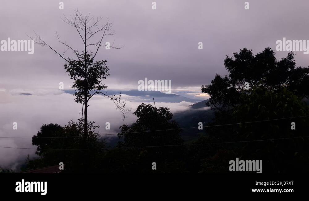 Backlit scene Stock Videos & Footage - HD and 4K Video Clips - Alamy