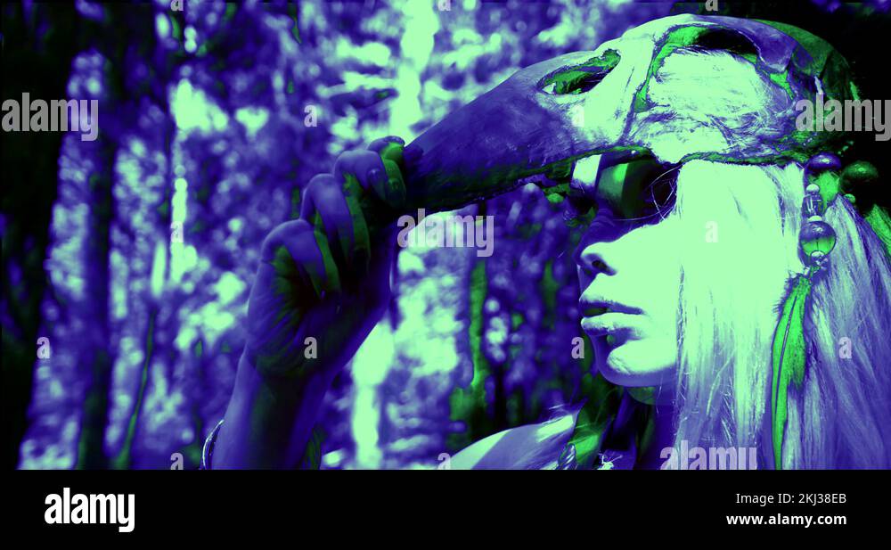 Horror bird Stock Videos & Footage - HD and 4K Video Clips - Alamy