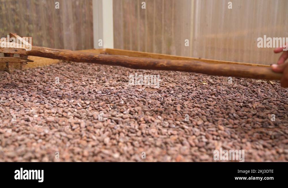 Grain rake Stock Videos & Footage - HD and 4K Video Clips - Alamy