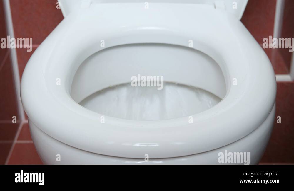 Working toilet Stock Videos & Footage - HD and 4K Video Clips - Alamy