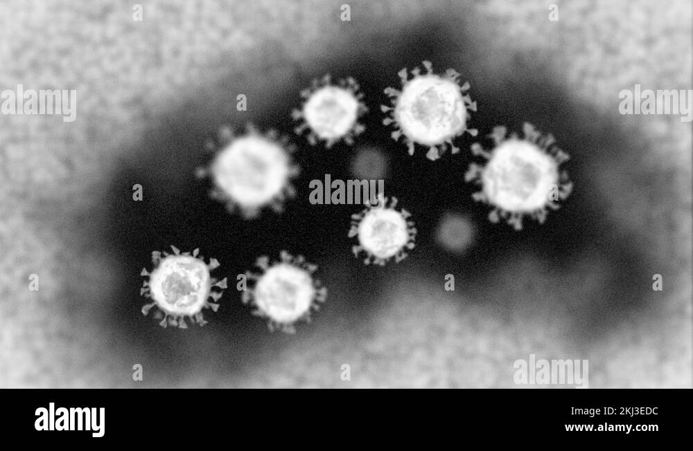 Transmission electron microscope image Stock Videos & Footage - HD and ...