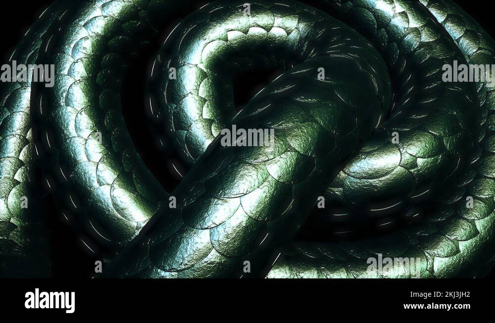3d snake Stock Videos & Footage - HD and 4K Video Clips - Alamy