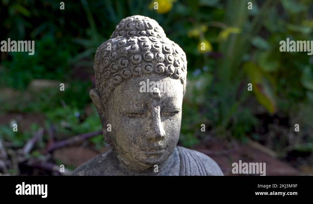 Buddha head garden statue Stock Videos & Footage - HD and 4K Video ...