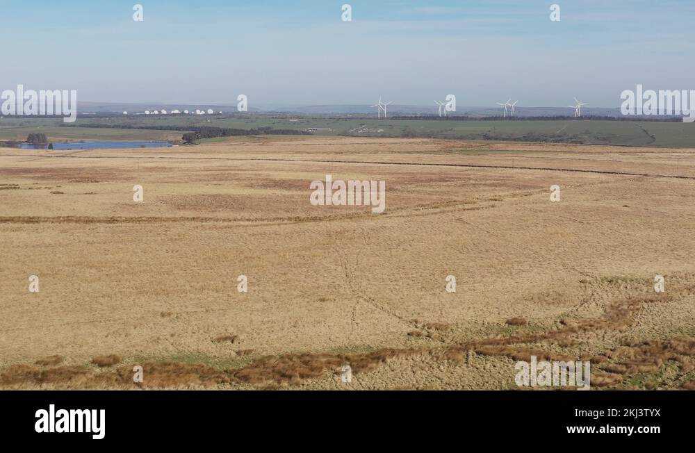British farm cattle crops Stock Videos & Footage - HD and 4K Video ...