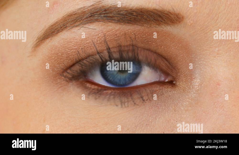 Eye zoom macro Stock Videos & Footage - HD and 4K Video Clips - Alamy
