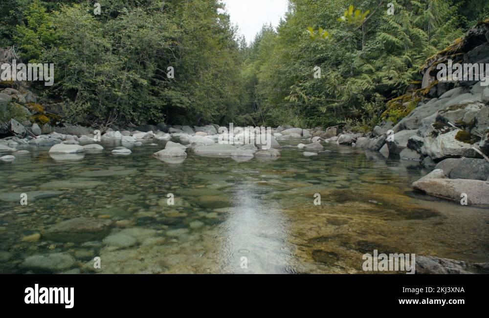 Creek and rocks Stock Videos & Footage - HD and 4K Video Clips - Alamy