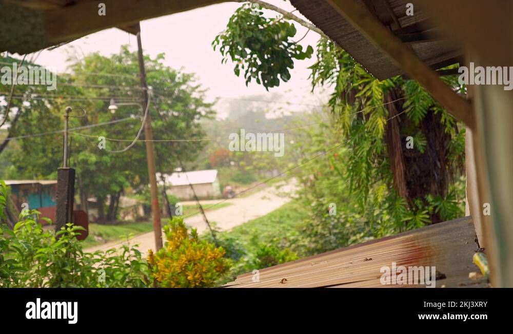 Rain off road Stock Videos & Footage - HD and 4K Video Clips - Alamy