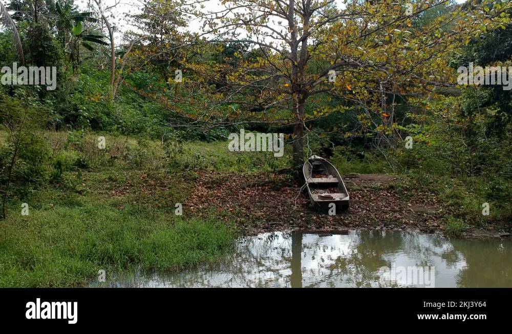 Rowing boat wreck Stock Videos & Footage - HD and 4K Video Clips - Alamy