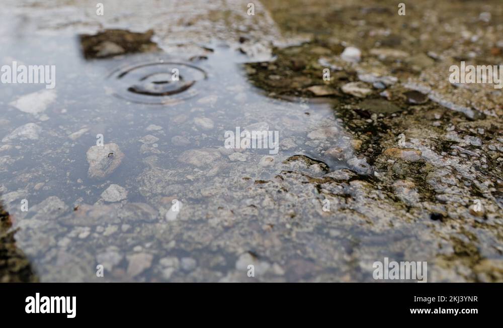 Light spring Stock Videos & Footage - HD and 4K Video Clips - Alamy