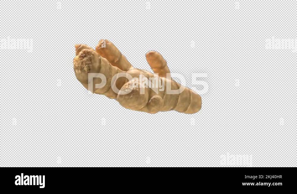 Ginger root of a rotating looping in alpha channel for compositing ...