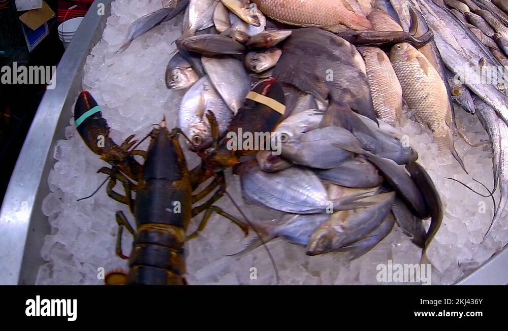 Variety fish seafood in Stock Videos & Footage - HD and 4K Video Clips ...