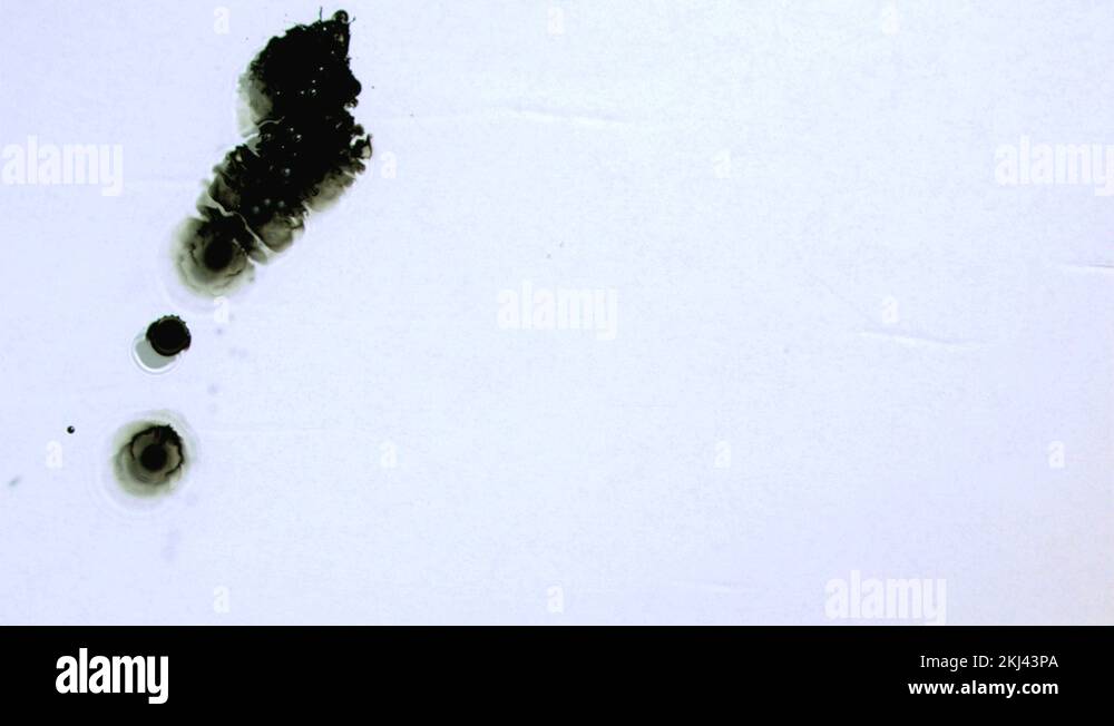 Black stain black staining Stock Videos & Footage - HD and 4K Video ...