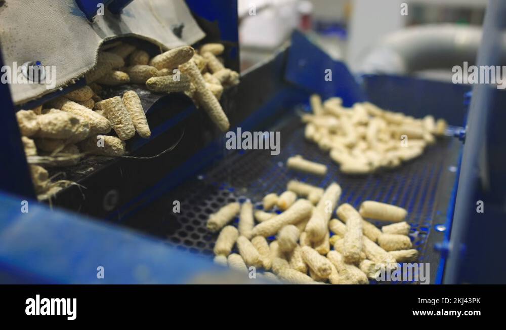 Maize shelling machine Stock Videos & Footage - HD and 4K Video Clips ...