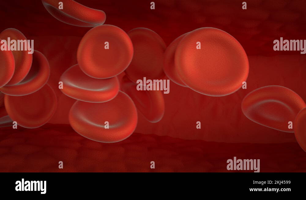 Red blood cells in artery 3D render animation Stock Video Footage - Alamy
