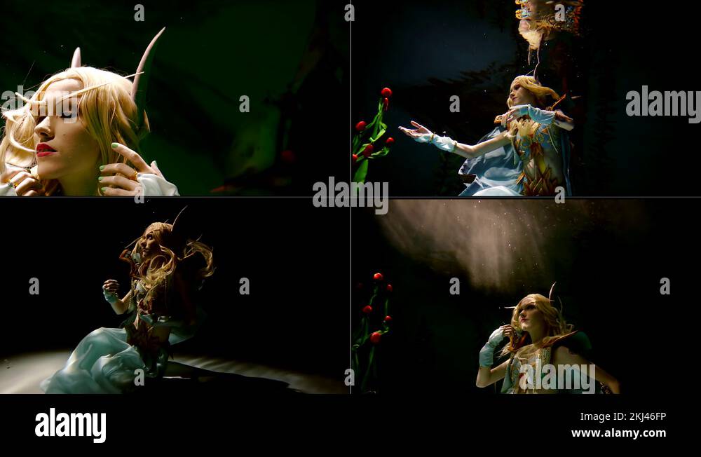 Elf swim Stock Videos & Footage - HD and 4K Video Clips - Alamy