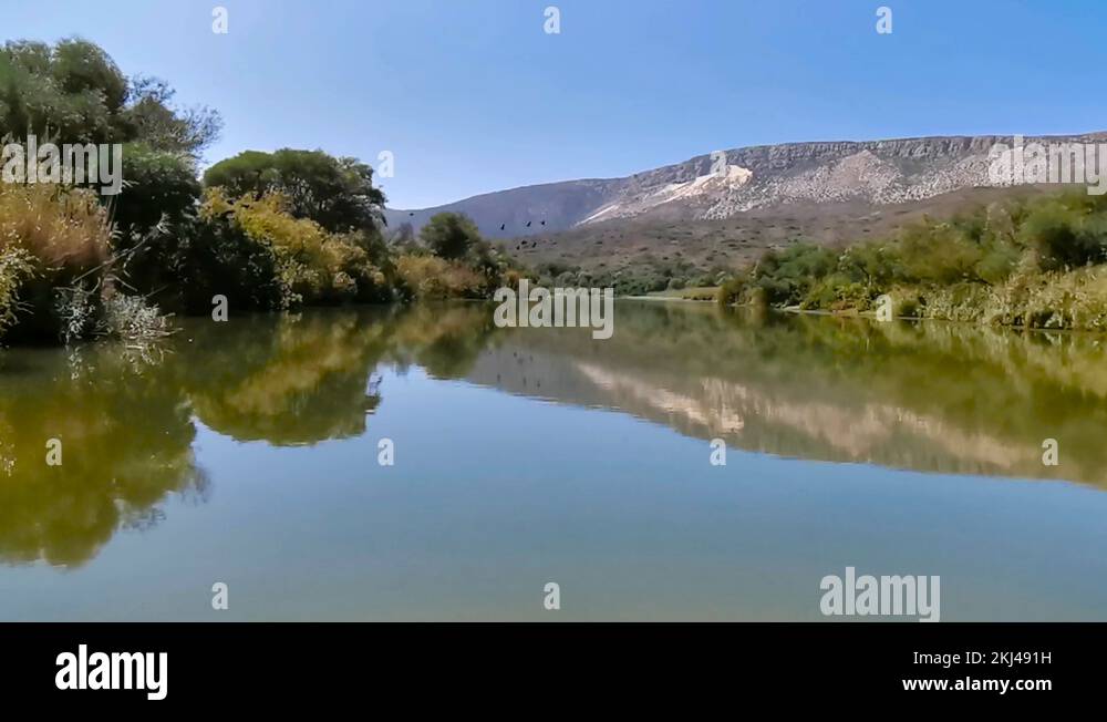 East african birds Stock Videos & Footage - HD and 4K Video Clips - Alamy