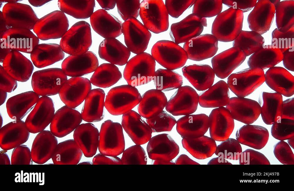 Juice is flowing on pomegranate grains laying on the white shining ...