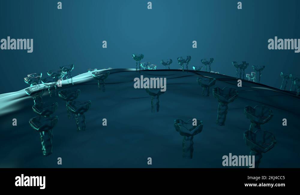 Aa cell Stock Videos & Footage - HD and 4K Video Clips - Alamy