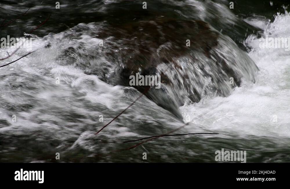 Rivercloseup Stock Videos & Footage - HD and 4K Video Clips - Alamy