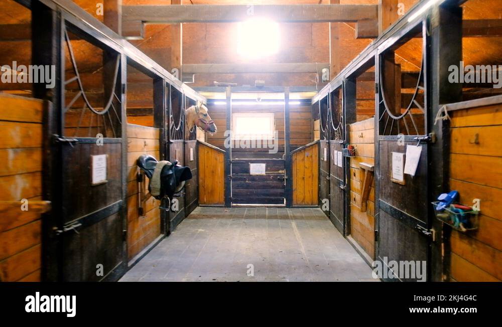 Inside the stable of a horse farm with horses protruding their heads ...