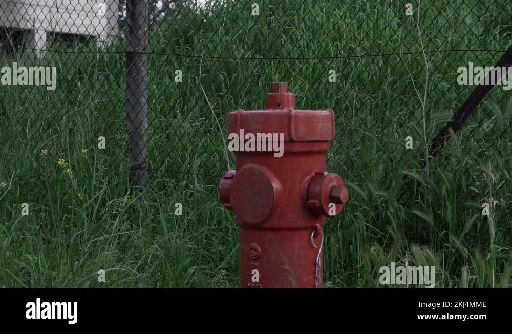 Fire hydrant in nature Stock Videos & Footage - HD and 4K Video Clips ...