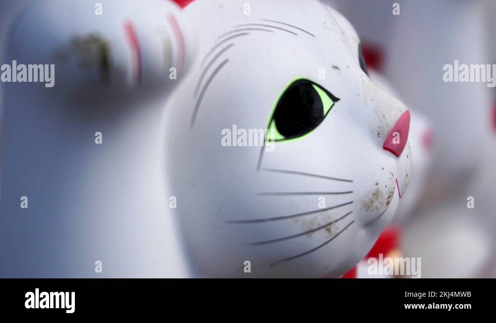 Japan waving cat Stock Videos & Footage - HD and 4K Video Clips - Alamy