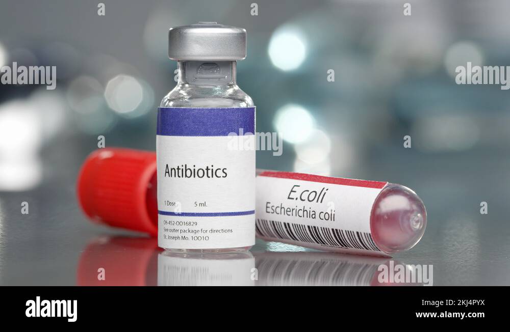 E coli e coli Stock Videos & Footage - HD and 4K Video Clips - Alamy