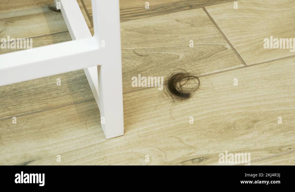 Beauty salon cut Stock Videos & Footage - HD and 4K Video Clips - Alamy