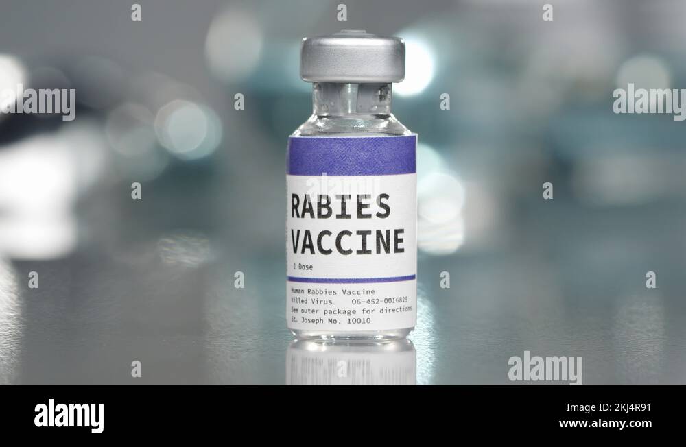 Vial rabies vaccine Stock Videos & Footage - HD and 4K Video Clips - Alamy
