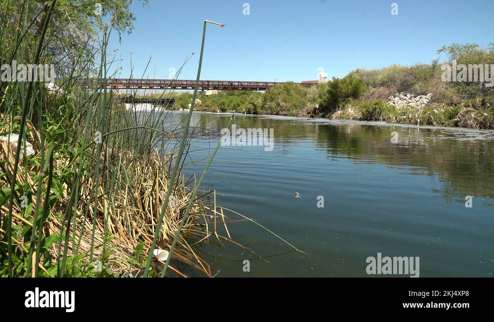 Water Running at the Edge of a River with Bridge and Trees in Backgound ...