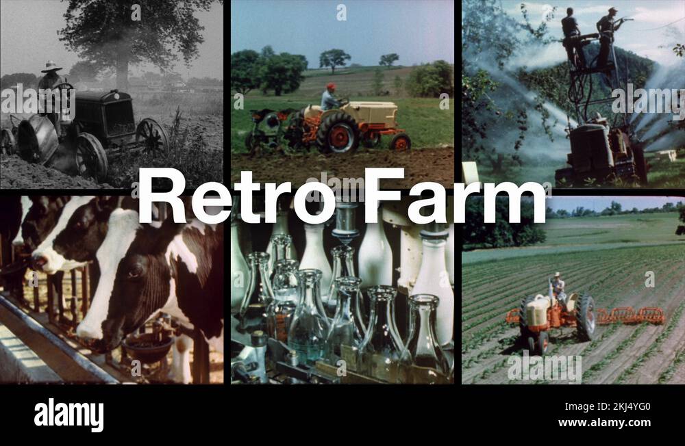 Vintage Farm and Agriculture Scenes 1940s - 1950s Stock Video Footage ...