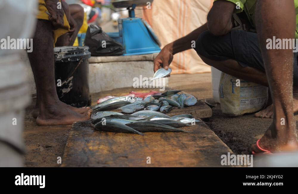 Poor fishermen Stock Videos & Footage - HD and 4K Video Clips - Alamy