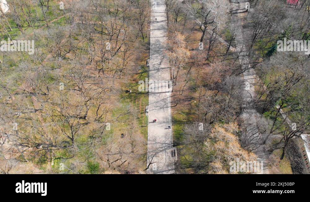 people walking outdoors at spring, in public park. Aerial view from ...