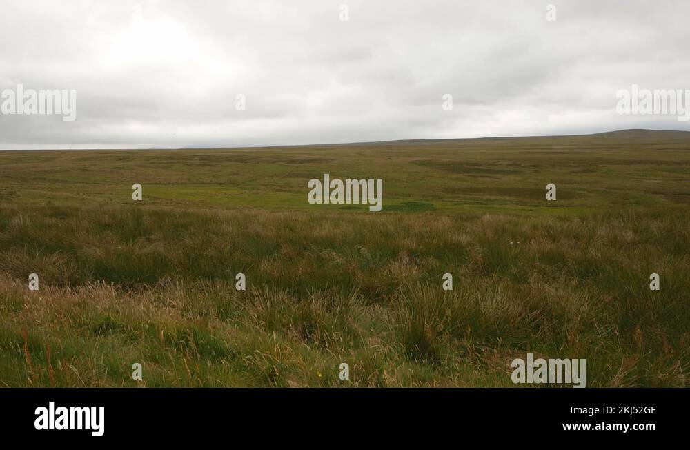 Scottish peat Stock Videos & Footage - HD and 4K Video Clips - Alamy