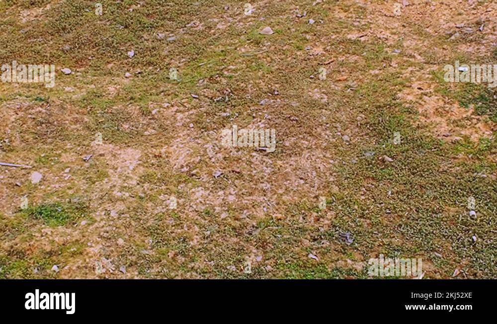 Dried up waterway Stock Videos & Footage - HD and 4K Video Clips - Alamy