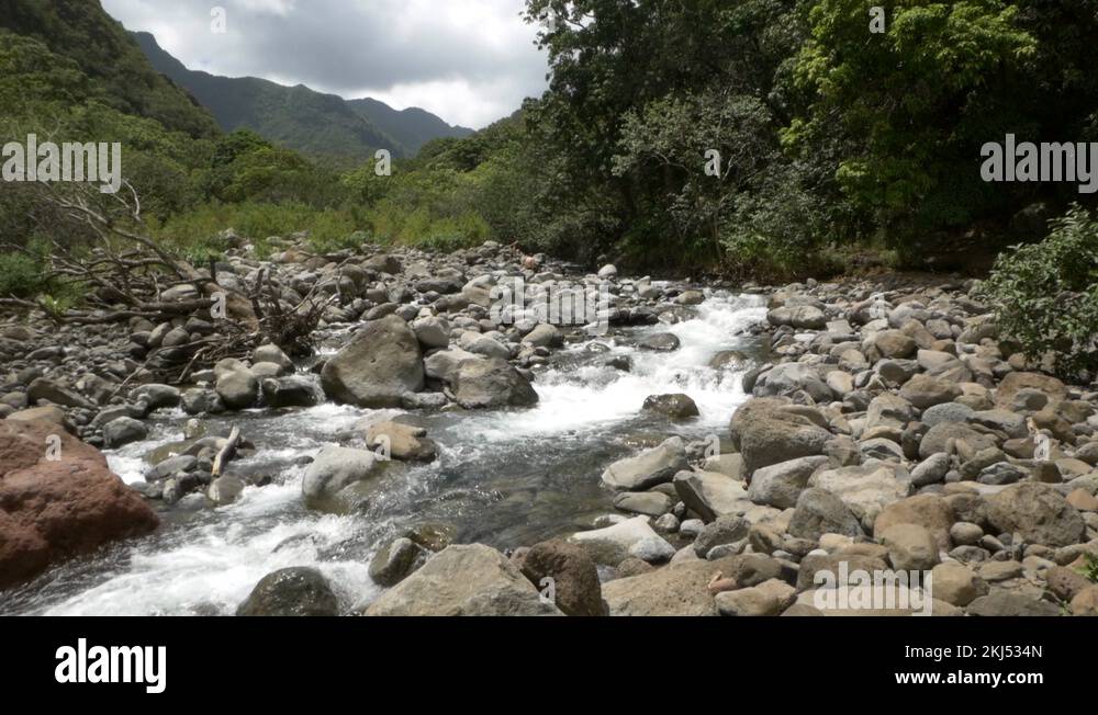 Stone laden Stock Videos & Footage - HD and 4K Video Clips - Alamy