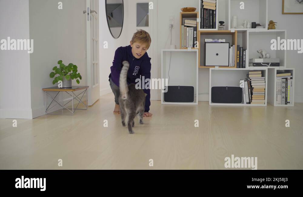 Boy carrying cat Stock Videos & Footage - HD and 4K Video Clips - Alamy