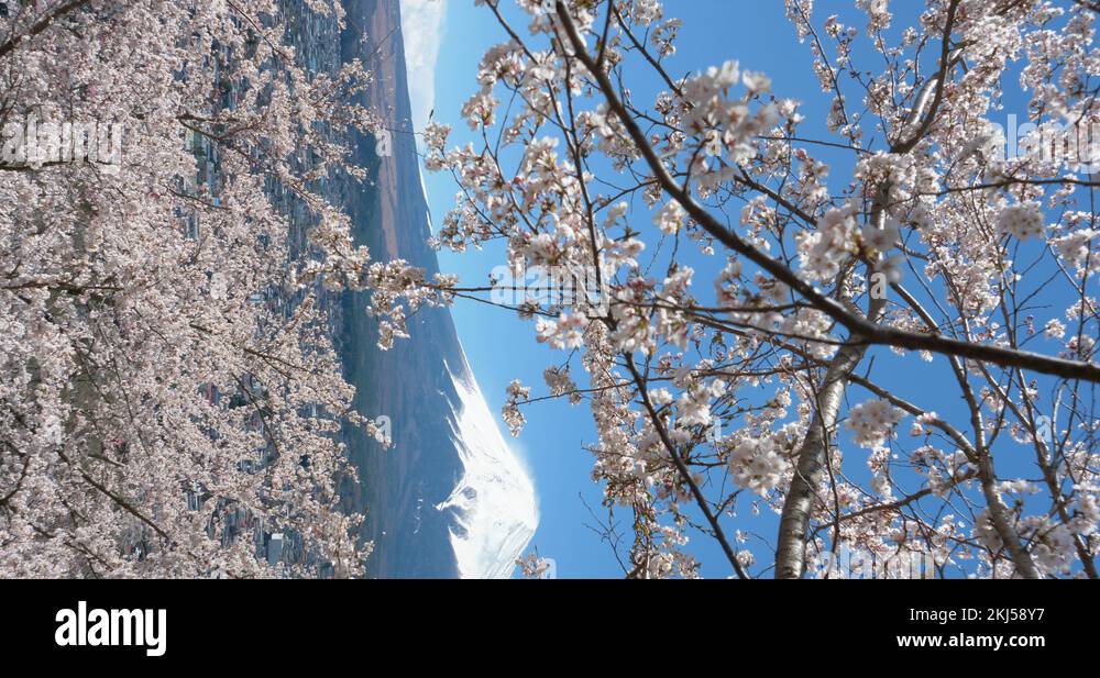 Vertical view mount fuji Stock Videos & Footage - HD and 4K Video Clips ...