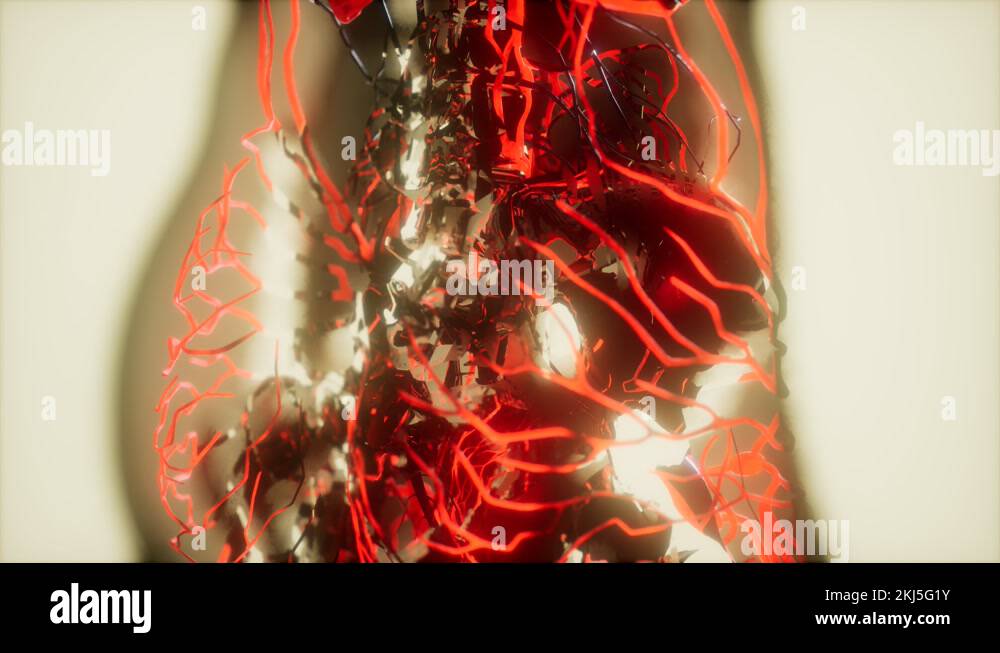 inspection of blood in the blood vessels of the circulatory system ...