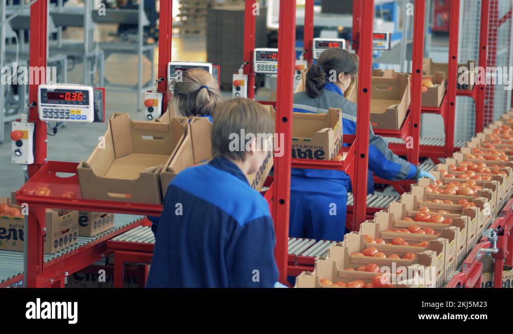 Filling boxes Stock Videos & Footage - HD and 4K Video Clips - Alamy