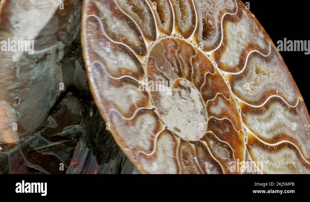 Period spiral Stock Videos & Footage - HD and 4K Video Clips - Alamy
